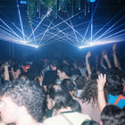 VIP COLLECTION | LOBSTA B