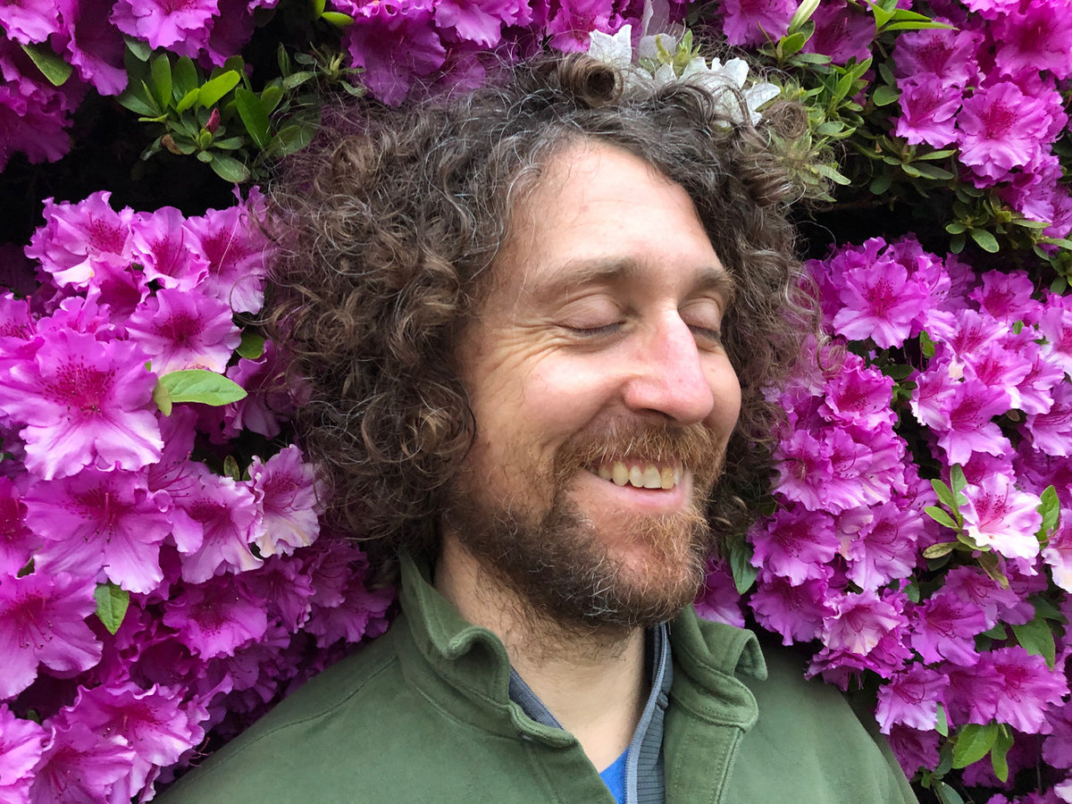 Homewell | Daniel Oscar