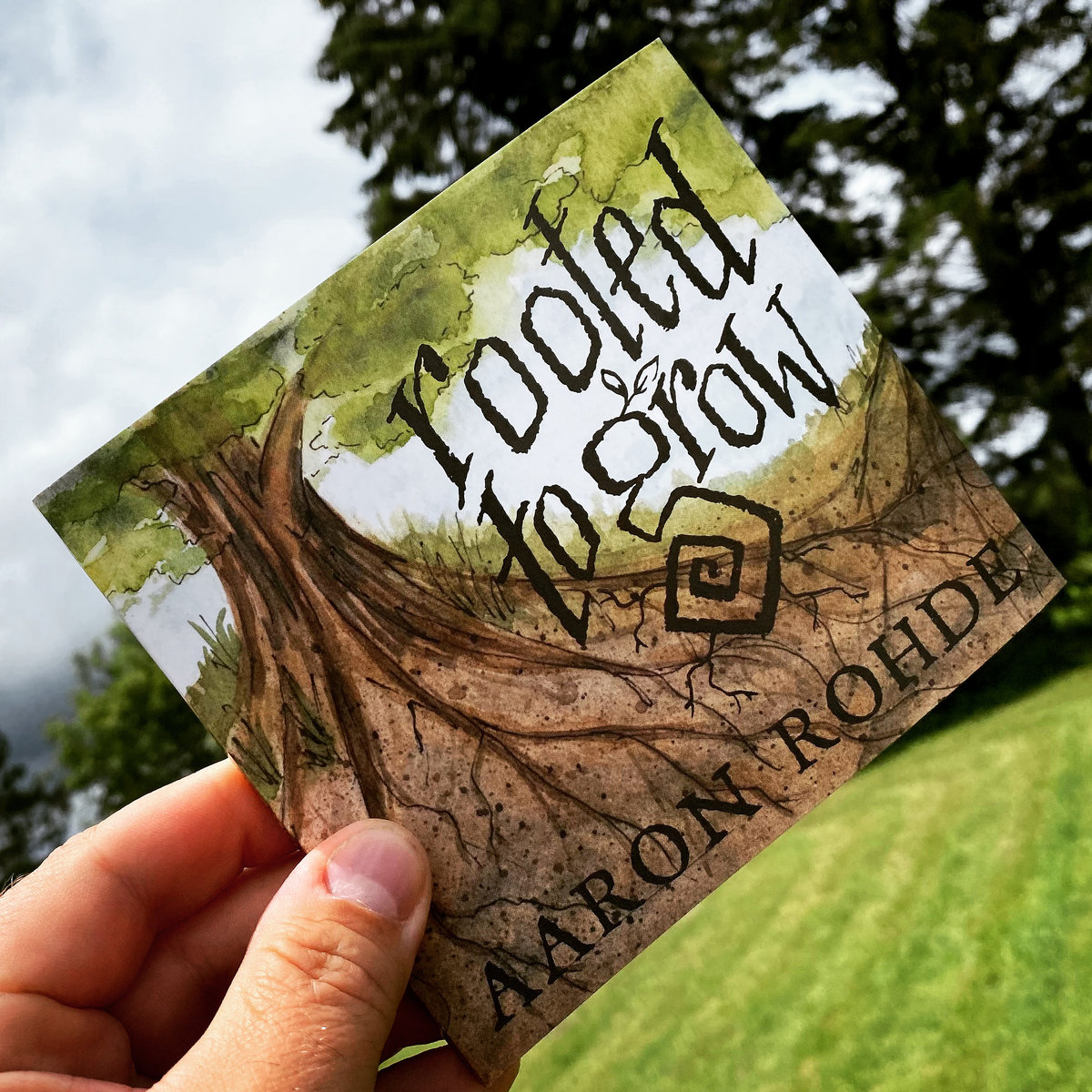 Rooted to Grow | Aaron Rohde