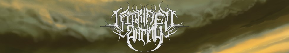 Vitrified Entity | Vitrified Entity