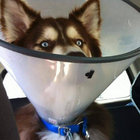 Foc / Re-foc | Rodrigo y Gabriela