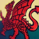 Sad Cities | Sally Shapiro