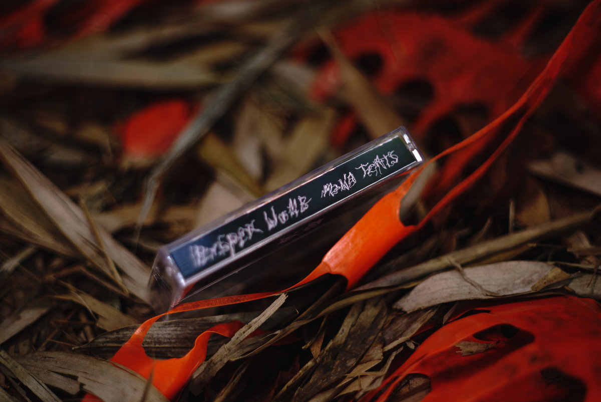 Mana Tears | Perspex Womb | Ghost City Collective