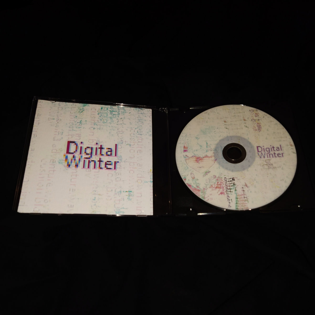 Digital Winter | Rory in early 20s