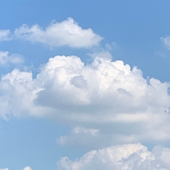 myrna_quinonez's collection | Bandcamp