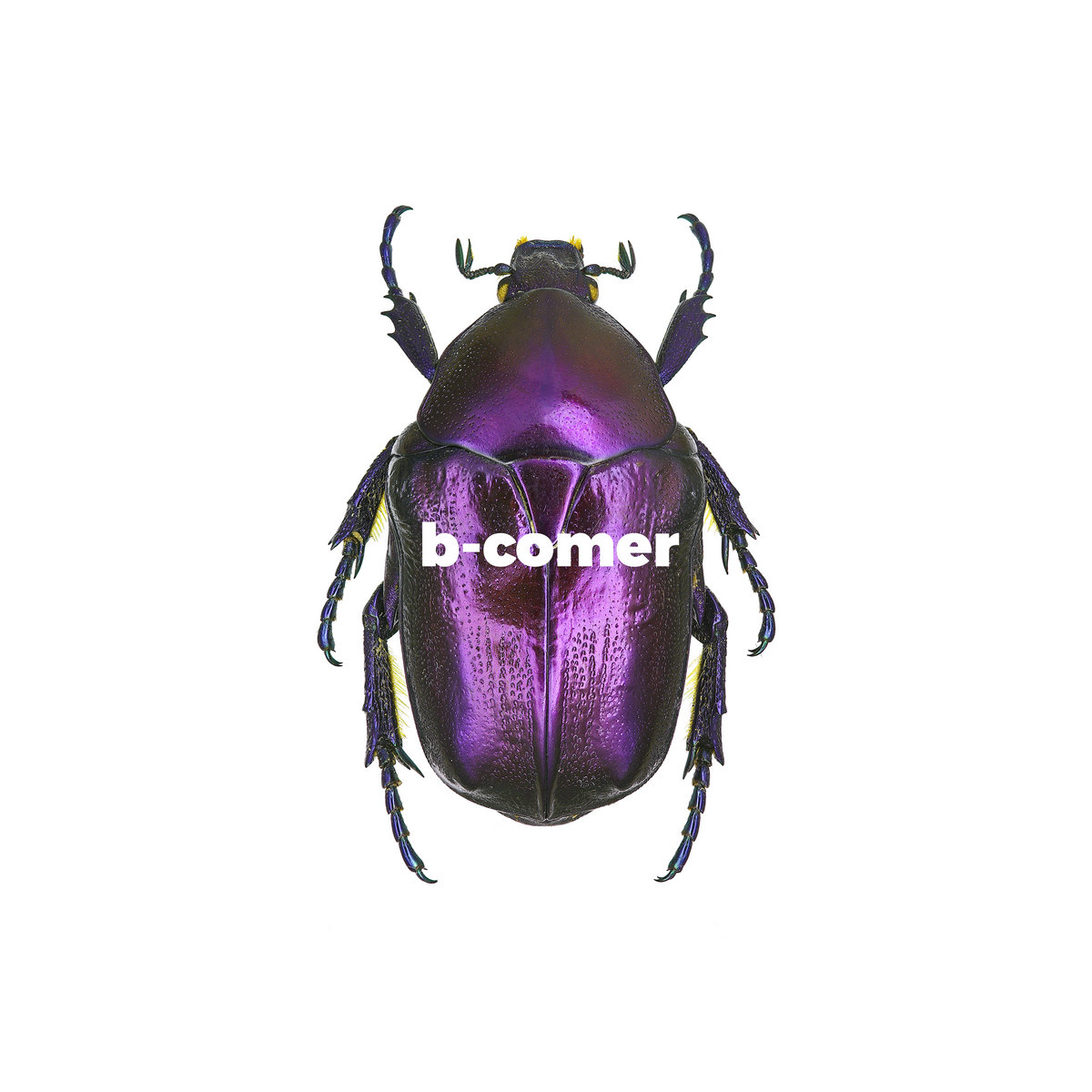 kheper ep | b-comer