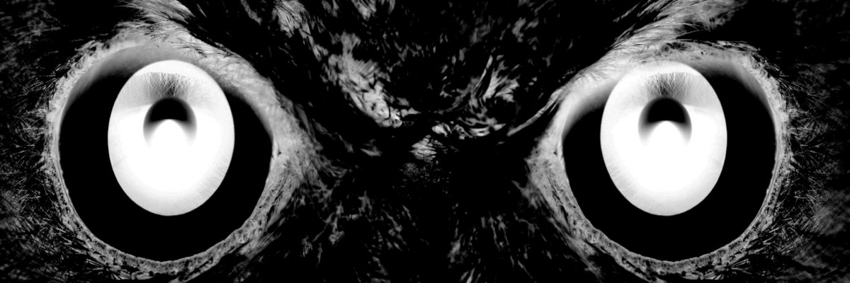 STRIGIFORM EYES - Departure | Strigiform Eyes | ONLY VOID