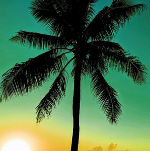 Music | Tomo's song and life