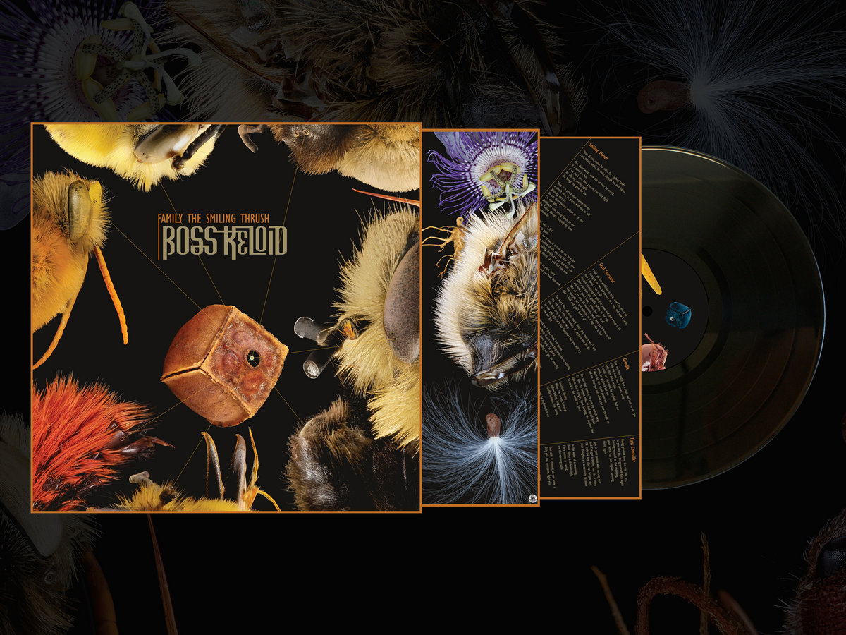 Family the Smiling Thrush | Boss Keloid