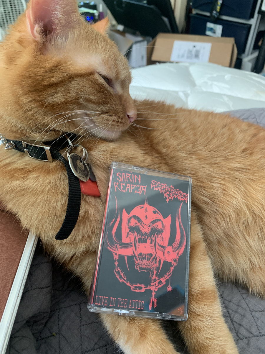 LIVE IN THE ATTIC SPLIT | SARIN REAPER / PURGATORIUM | Dirtbag Distro