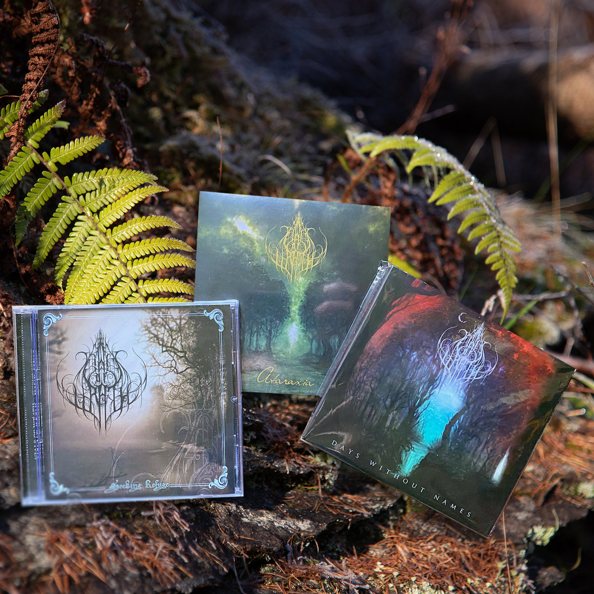 Seeking Refuge | Vials of Wrath