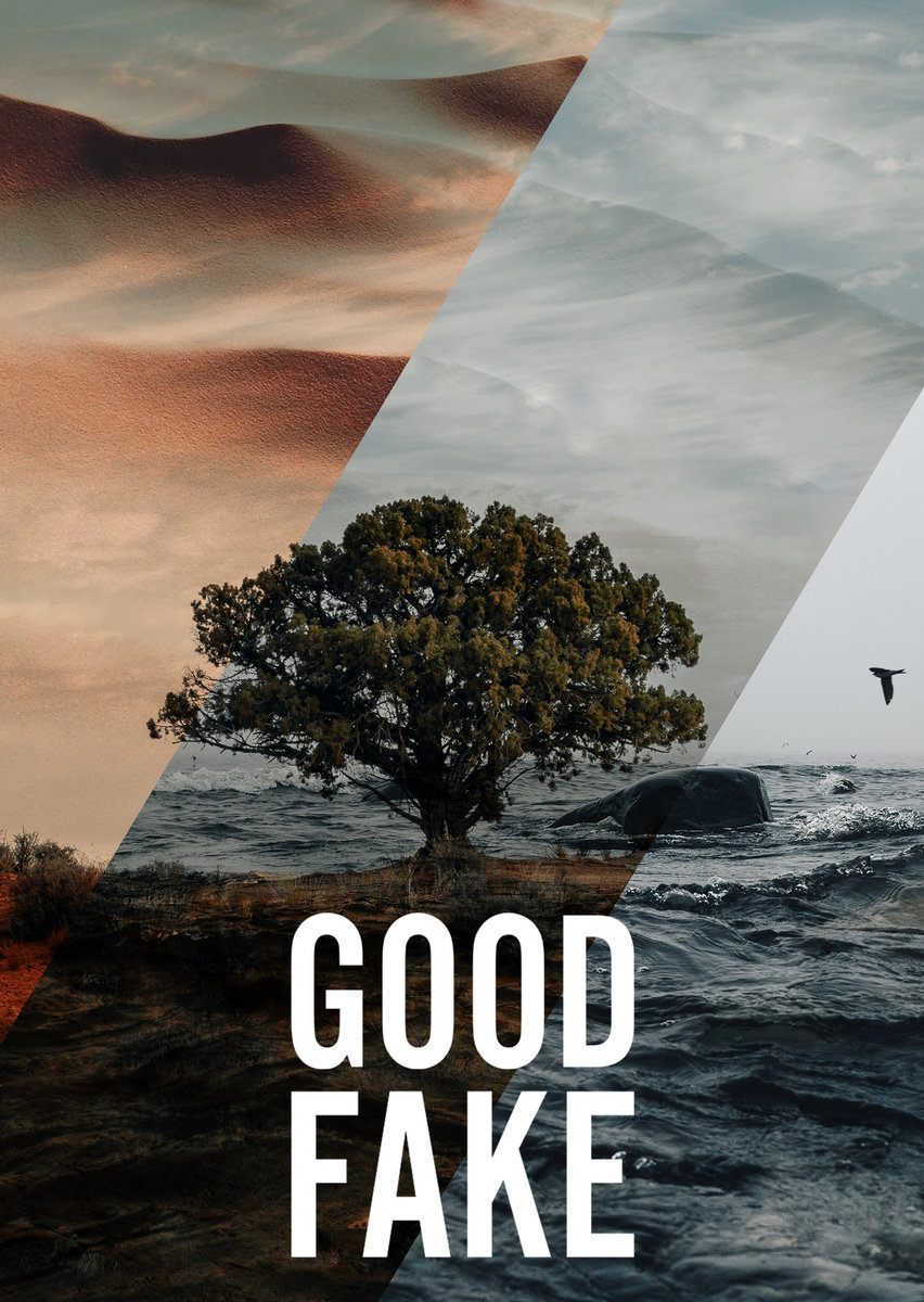 You Vultures | Good Fake