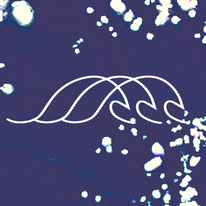 공작 (Peacock) | Say Bye Ok