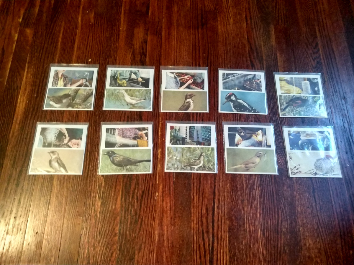 Glass Birds EP | The Dipper Stove