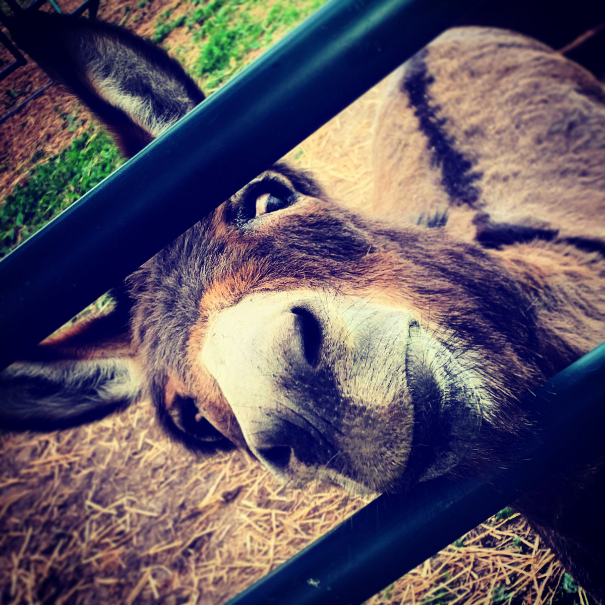 Streetlights | Maps of the Midwest | cider