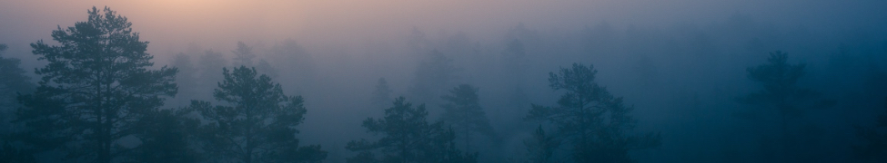 Soft Rains of April | Belle Brume & Are Morica | Belle Brume