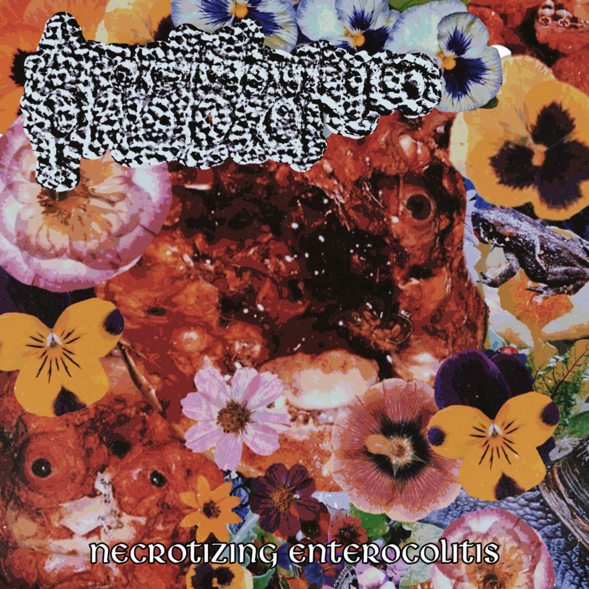 Stage Of Decomposition Putrefaction | Arachibutryophobia