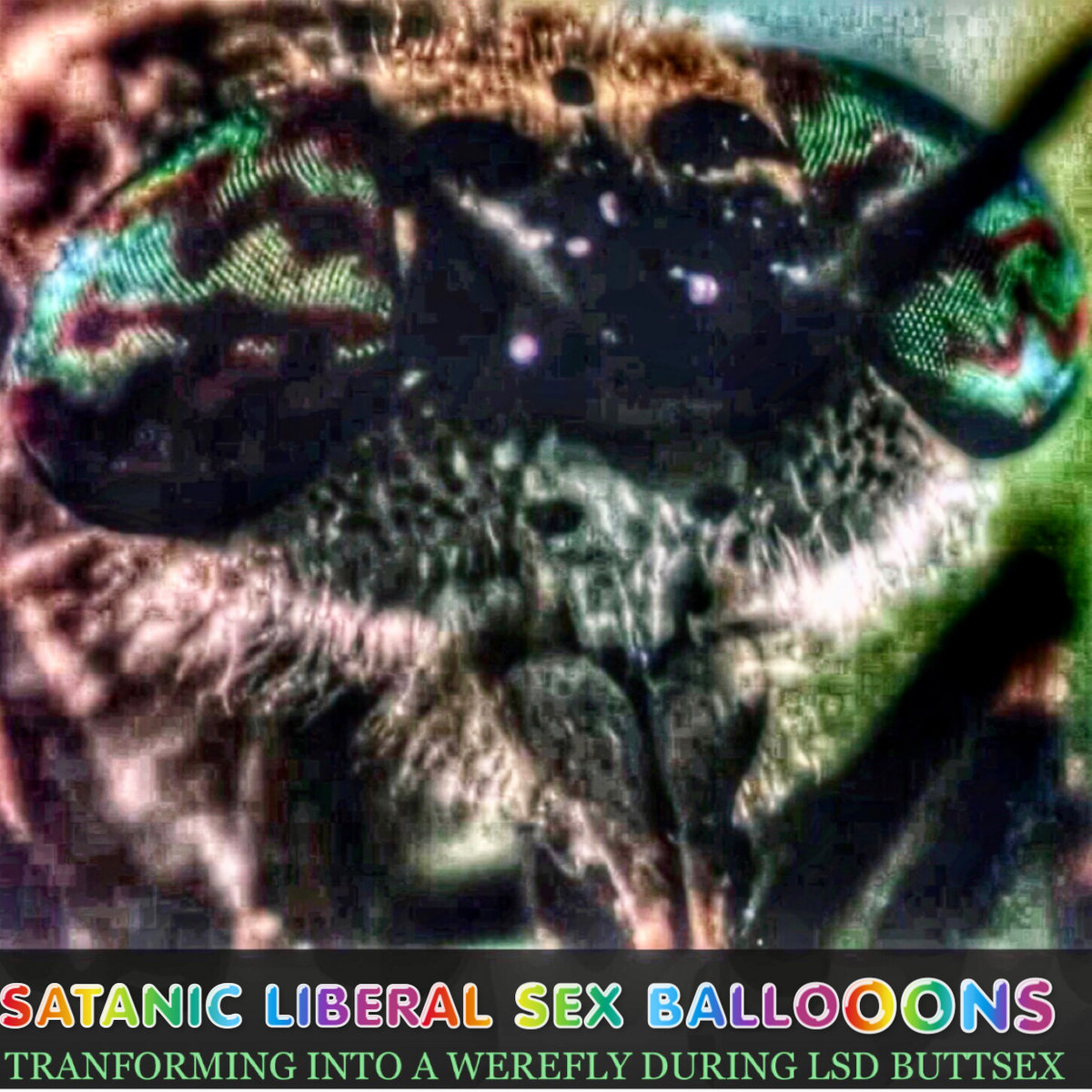 Transforming Into A Werefly During Lsd Buttsex Satanic Liberal Sex Balloons 