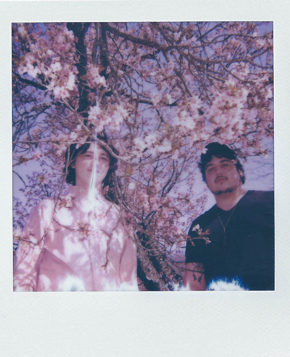 Have A Great Summer! | HAGS