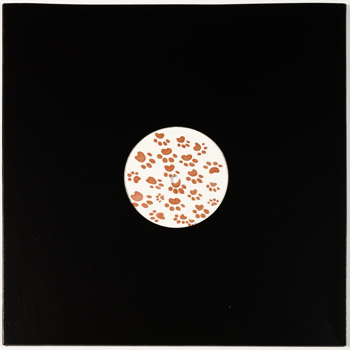 THE GROOVY CAT | PAWSA