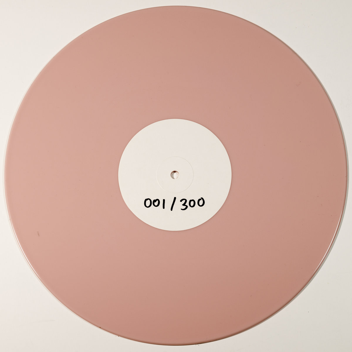 THE GROOVY CAT | PAWSA