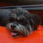 mini mix vol. 1 | Magdalena Bay