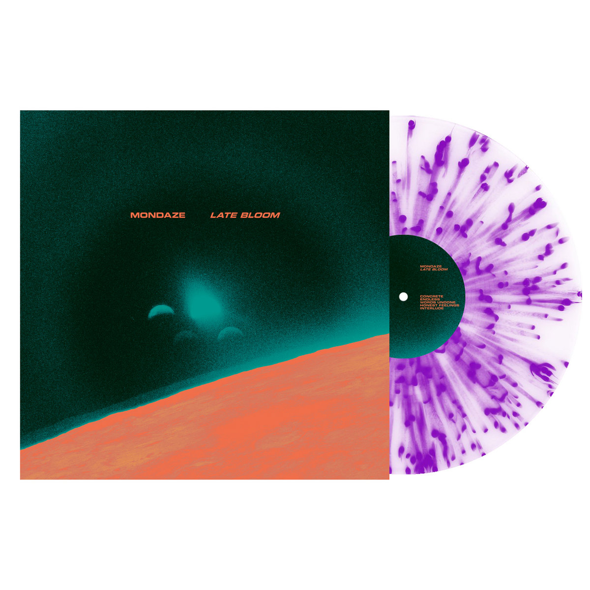 Late Bloom | Mondaze