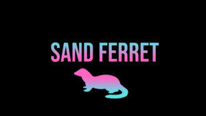 Music | Sand Ferret