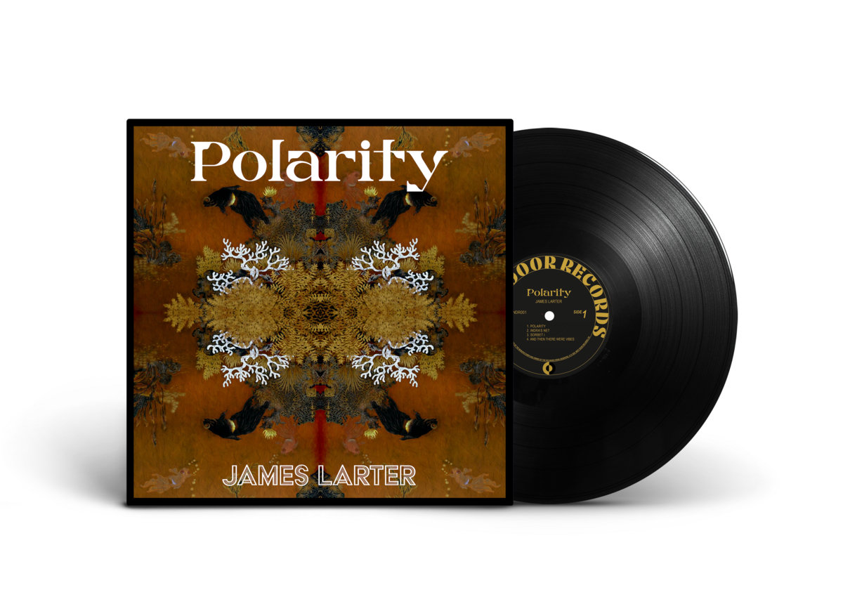Polarity | James Larter