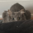 Some Heavy Ocean | Emma Ruth Rundle