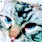 Thriller (Single) | Scandroid