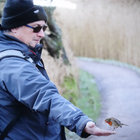 Exploding Trees & Airplane Screams | Patterson Hood