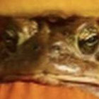 Bits & Bobs | Cyriak