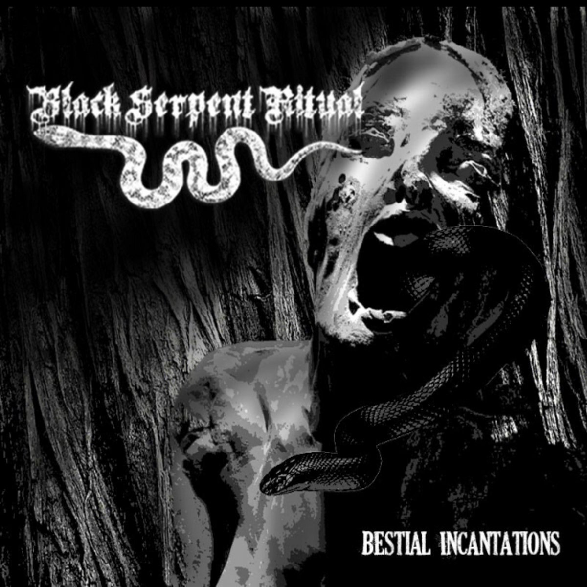 BLACK SERPENT RITUAL- BESTIAL INCANTATIONS | BLACK SERPENT RITUAL ...