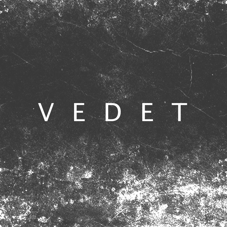 TERMINAL | VEDET