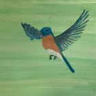 Gentle Wilderness | Rick Deitrick | Tompkins Square