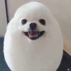 Jazzy Note Blocks | Aaron Grooves