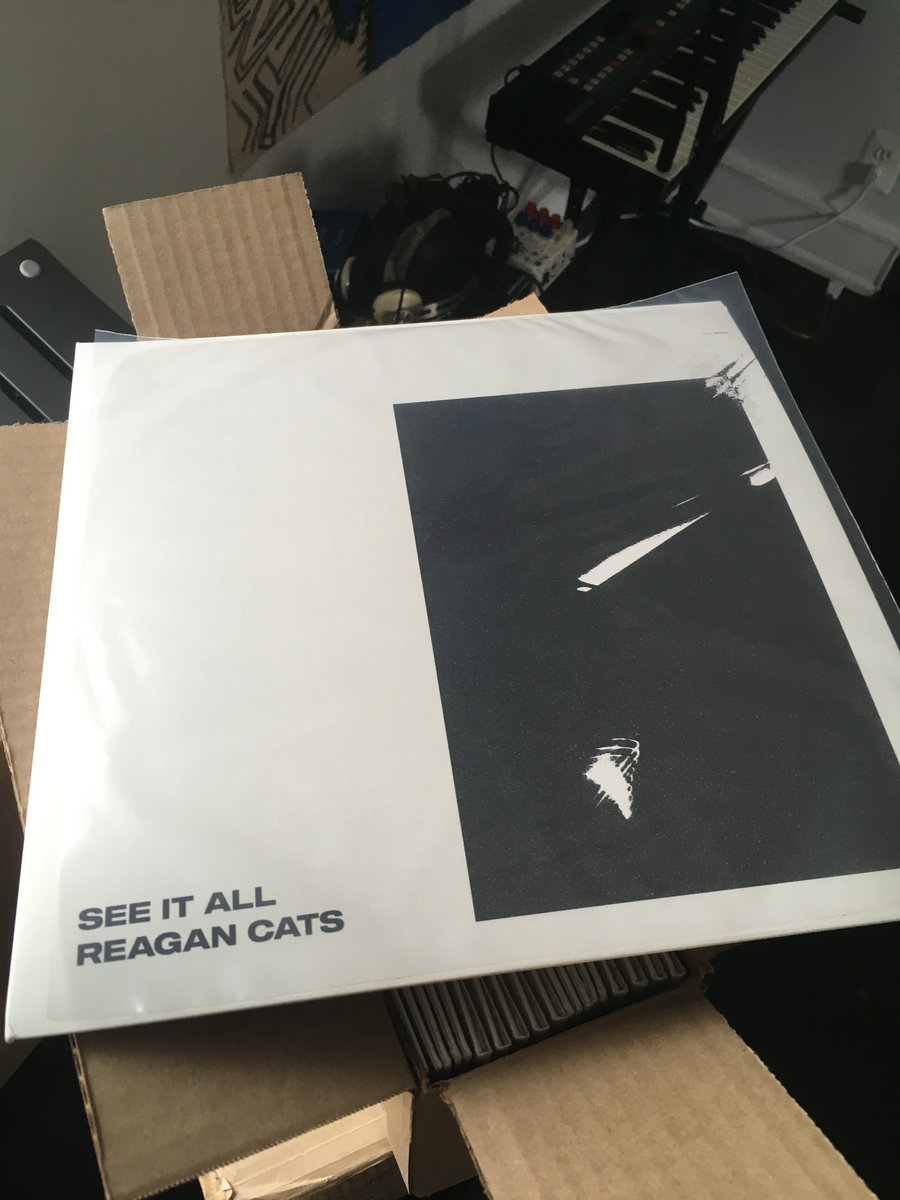 SEE IT ALL | Reagan Cats