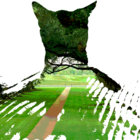 Washed Out | Mayhem | HALLEY LABS