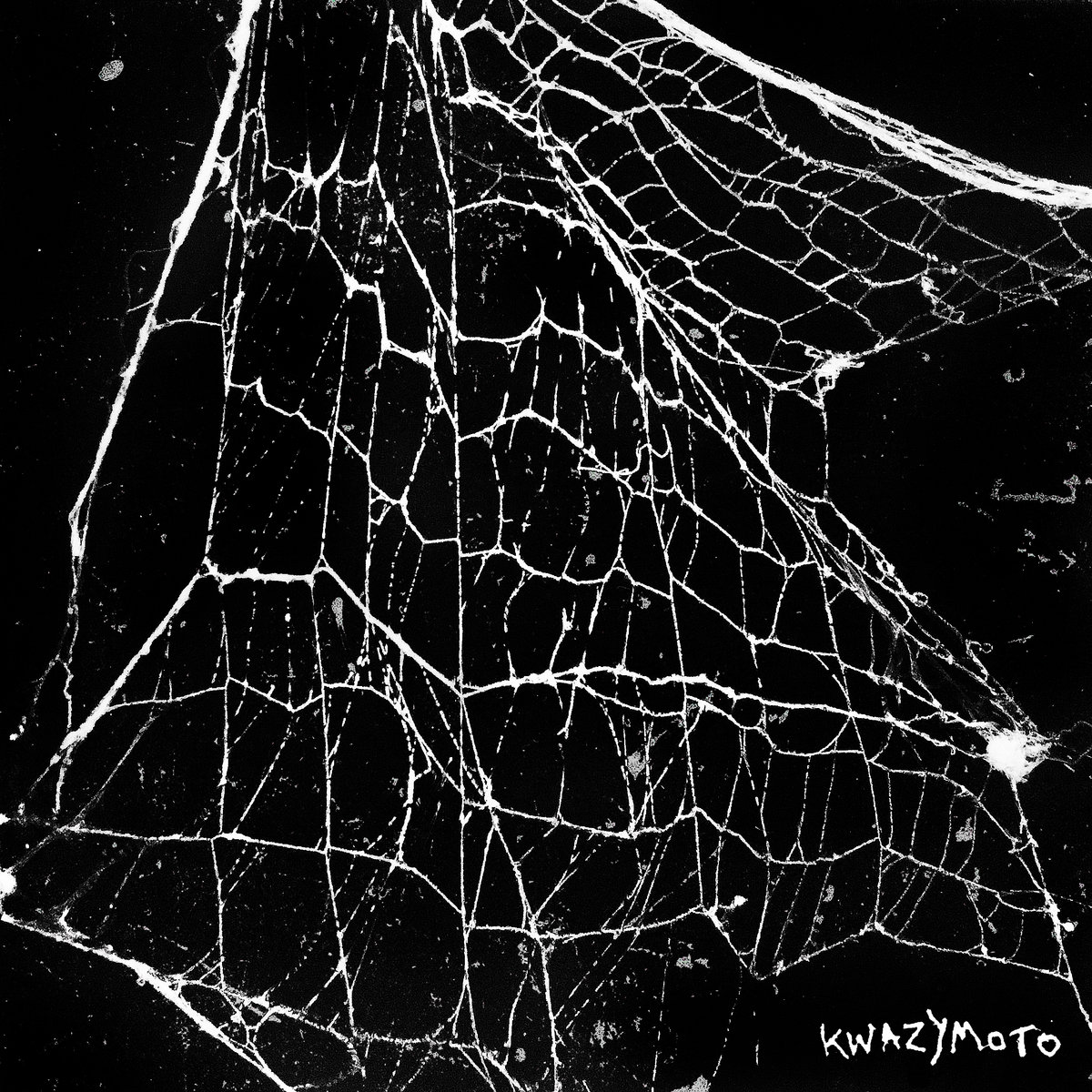 On Mount Rennie | Kwazymoto