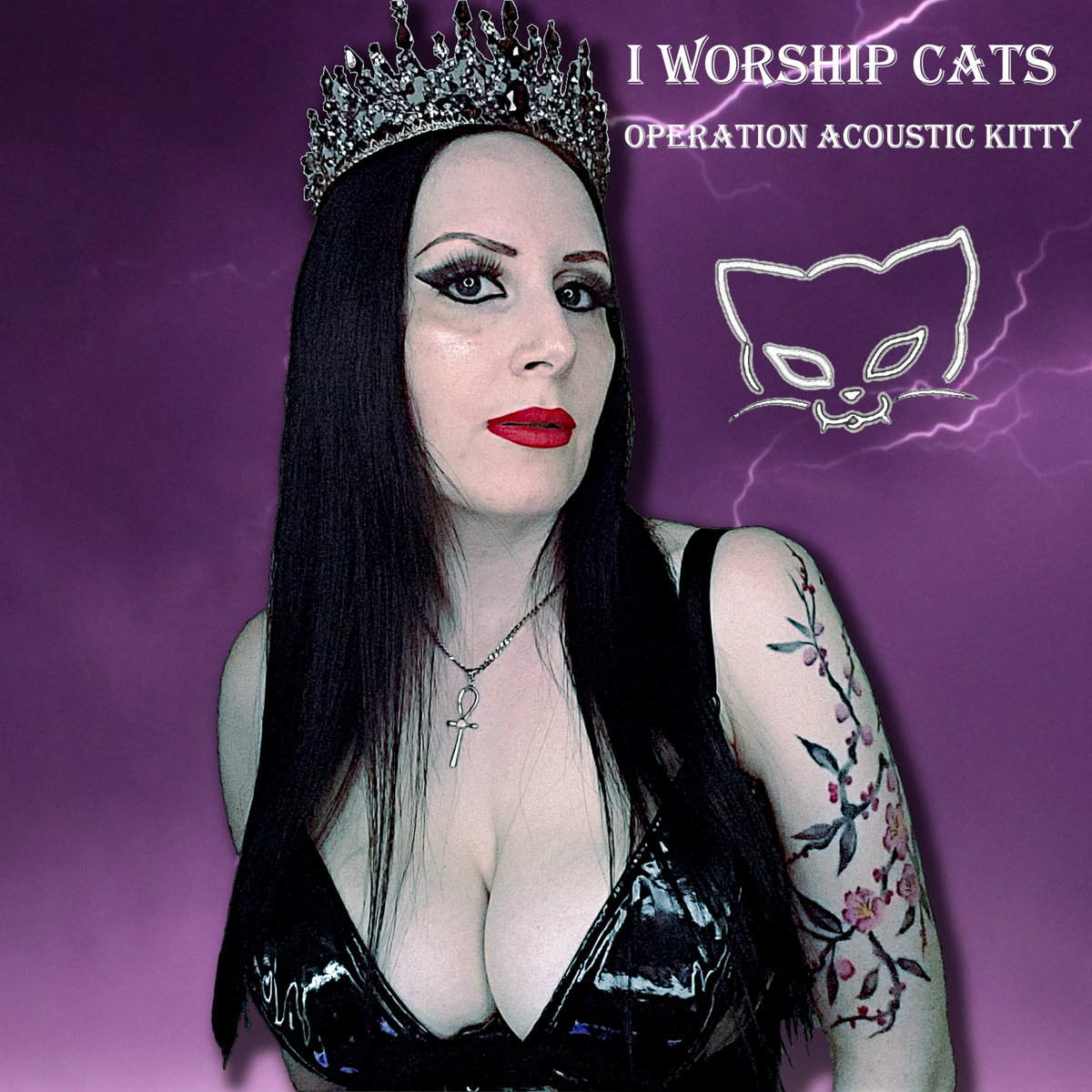 Operation Acoustic Kitty | I Worship Cats