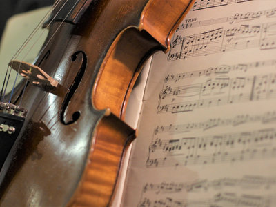 Wildflower Sheet Music for Violin | Kristel Birkholtz