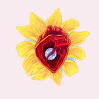 Sun Transmission | Inner Wave