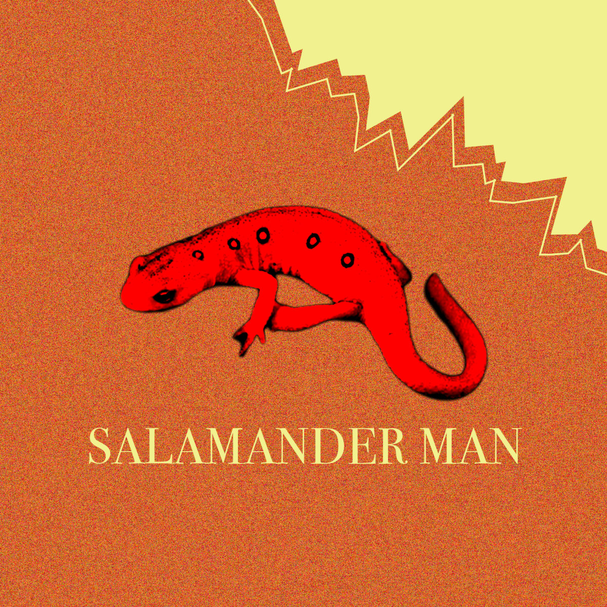 spaceship | salamander man