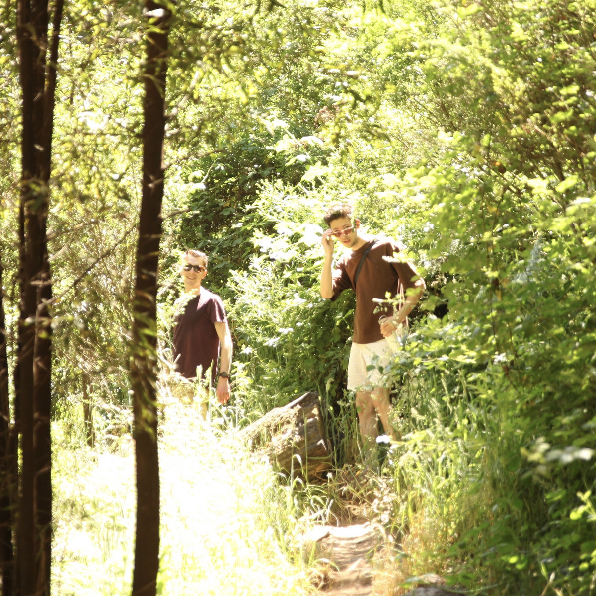 A Sanctuary of Quietude | Pat Jaffe & Callum Mintzis