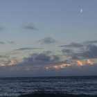 Cunningham Bird | Andrew Bird