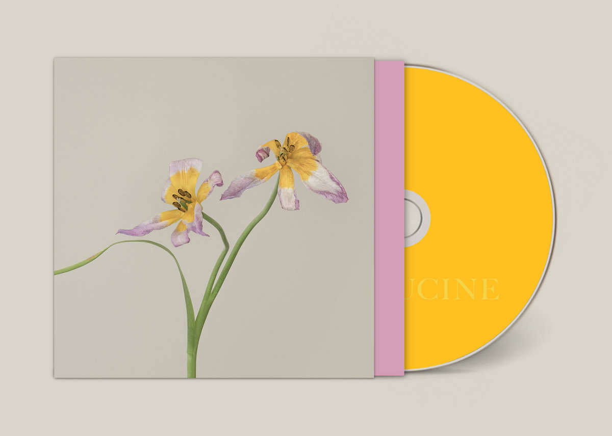 Hallucine | Anne Bakker | René Aquarius | Rutger Zuydervelt | René Aquarius