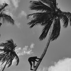 ROB // Funky Rob Way (Limited Dance Edition Nr. 2) | Analog Africa