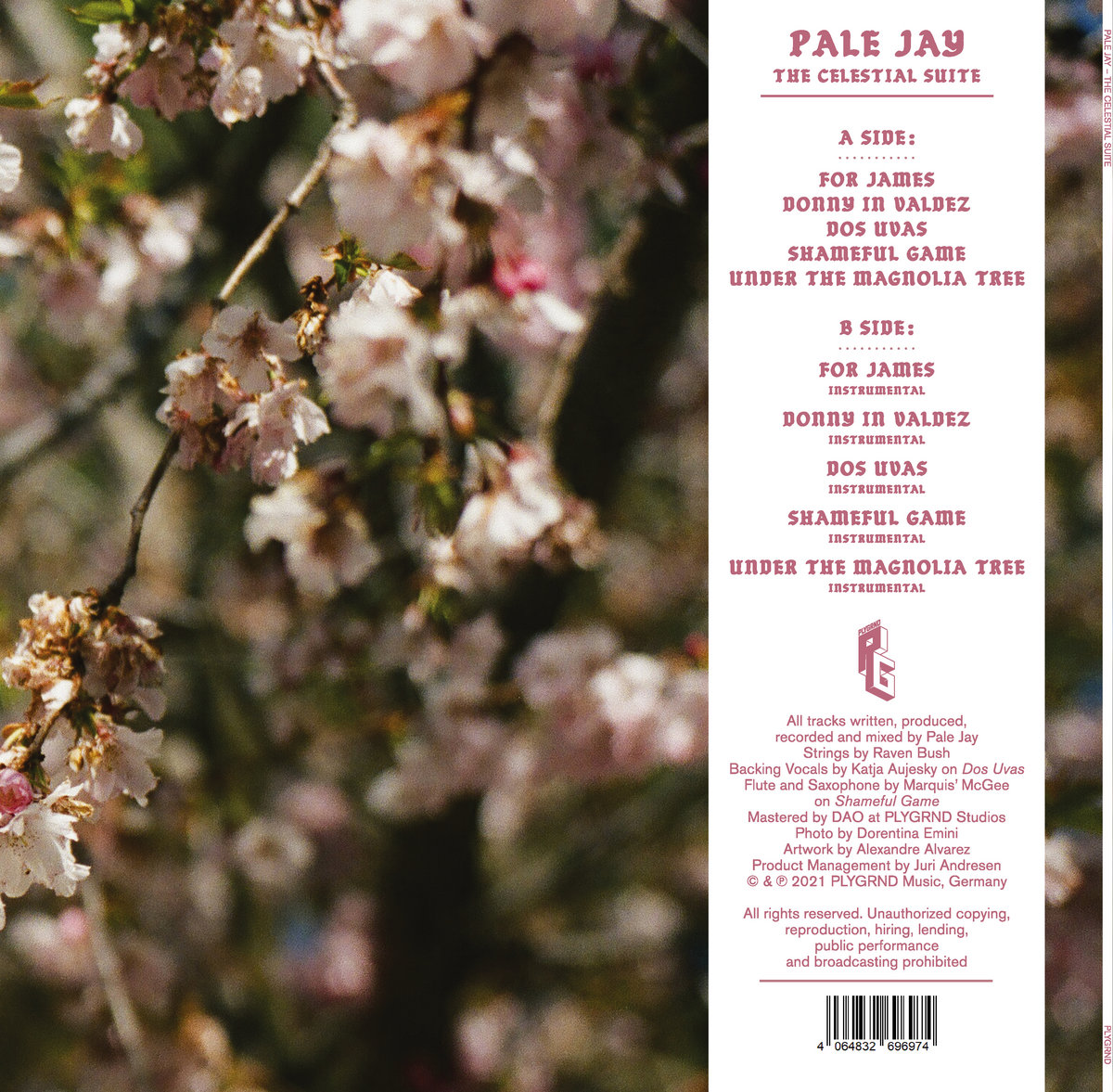 The Celestial Suite | Pale Jay