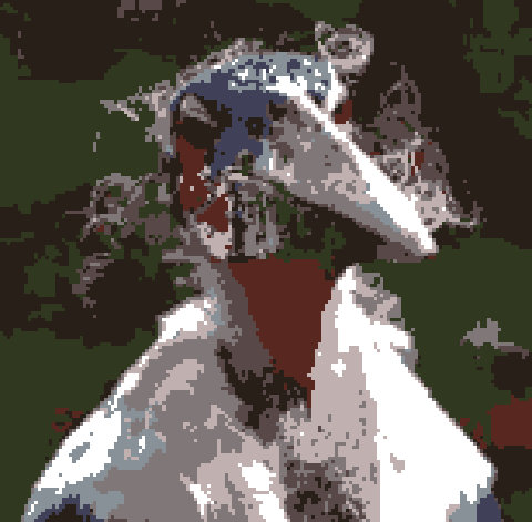 Strange & Peculiar | ORNITHOID